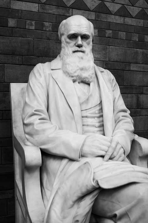 Darwin's Silver Chair by Jonathan Witt - Salvo Magazine