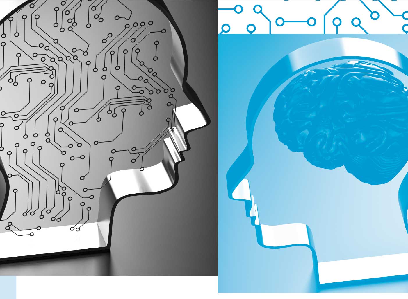 Immaterial Mind by Richard W. Stevens - Salvo Magazine