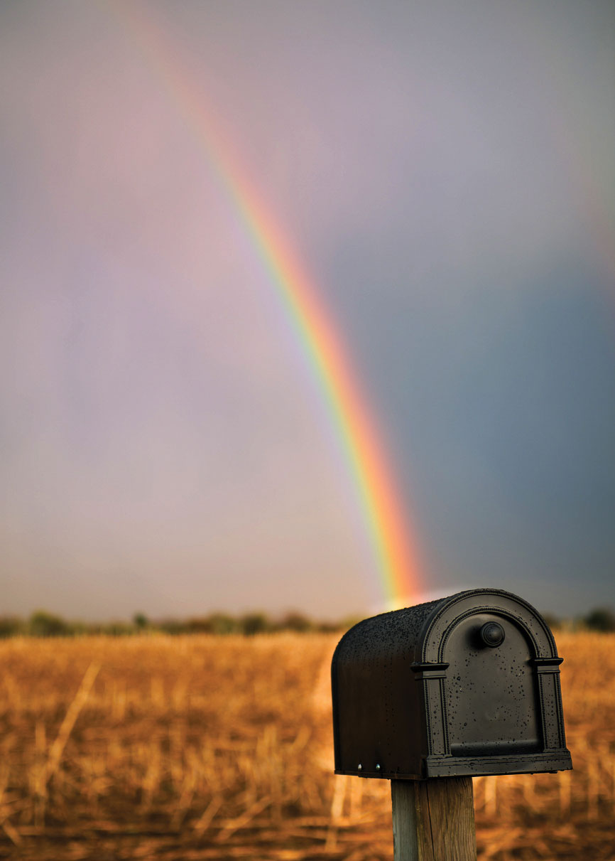 Build-a-Queer by Mail by Emily Morales - Salvo Magazine
