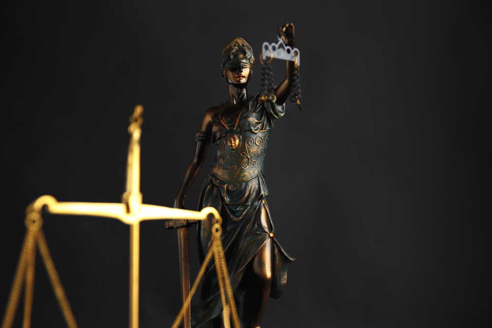 Public Defender by Marcia Segelstein - Salvo Magazine