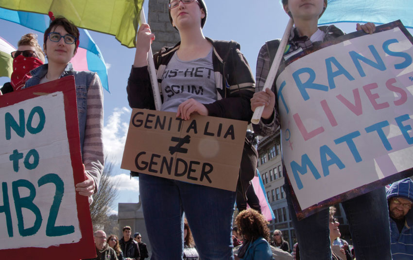 Engendered Confusion by Laurie Higgins - Salvo Magazine