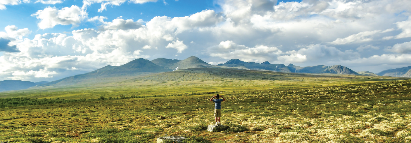 Design in Three Dimensions by Ann Gauger - Salvo Magazine